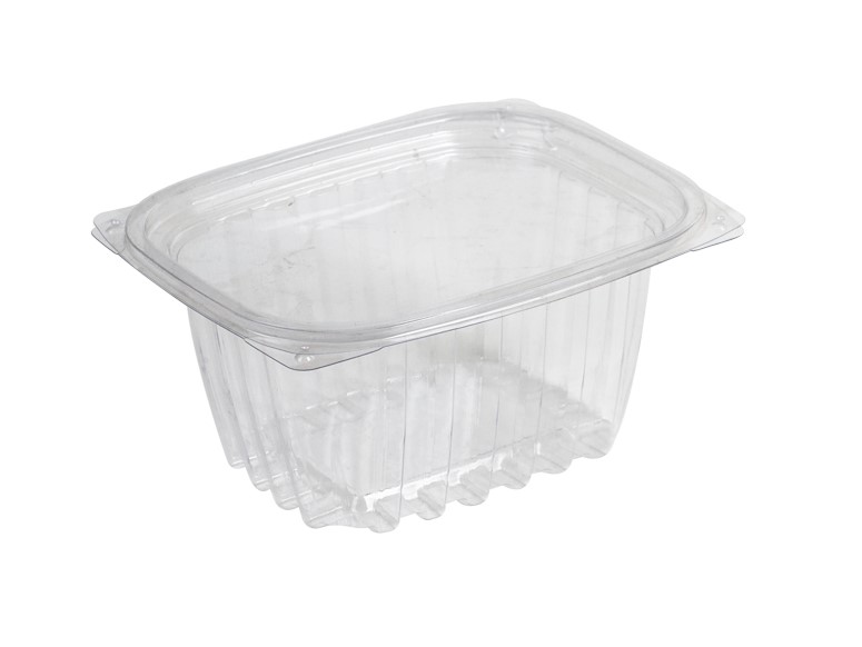 16oz PLA Rectangular Deli Container Hinged Lid- Canada Green Natural ...